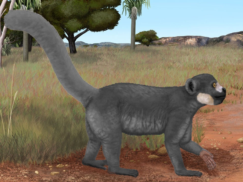 Kidoky | Thomas Morgan